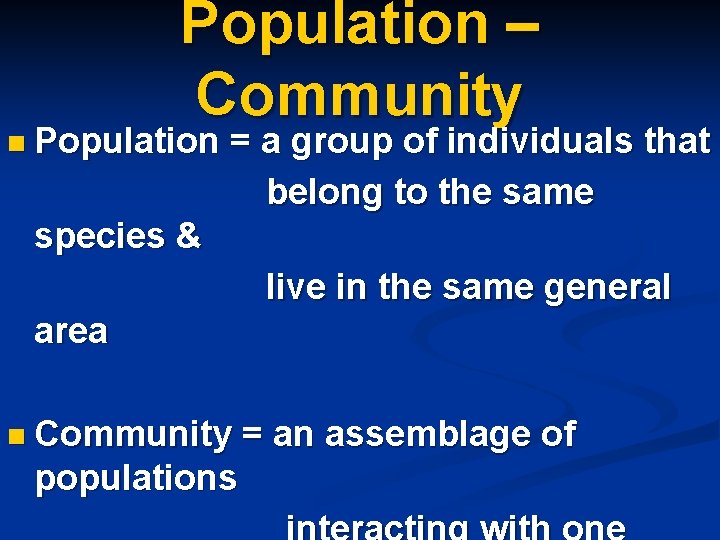 Community Interactions Food Chains Food Webs Classroom Rules