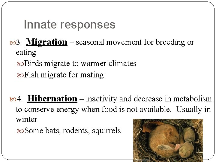 Animal Behaviors Animalia Typical organism sponges worms insects