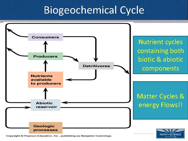 Ecology Biomes and Ecosystems Areas with the same