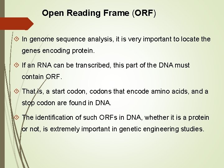 STRUCTURE AND FUNCTION OF RNA Not double stranded
