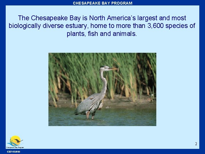 Restoring and Protecting Chesapeake Bay and River Water