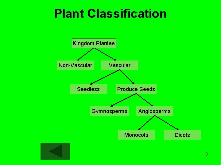 KINGDOM PLANTAE Botany the study of plants Characteristics