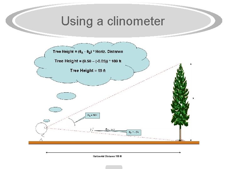 Lesson B 3 2 Measuring Trees Next Generation
