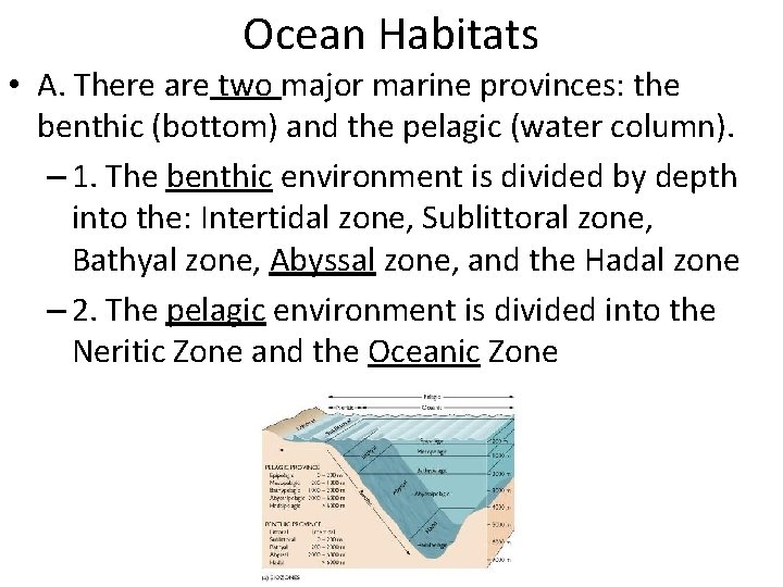 Marine Biology Ocean Habitats A There are two