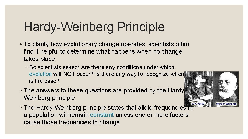 HARDYWEINBERG HardyWeinberg Principle To clarify how evolutionary change