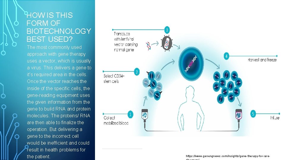 BIOTECHNOLOGY AND GENETICS BLOG POST GENE THERAPY JENNA
