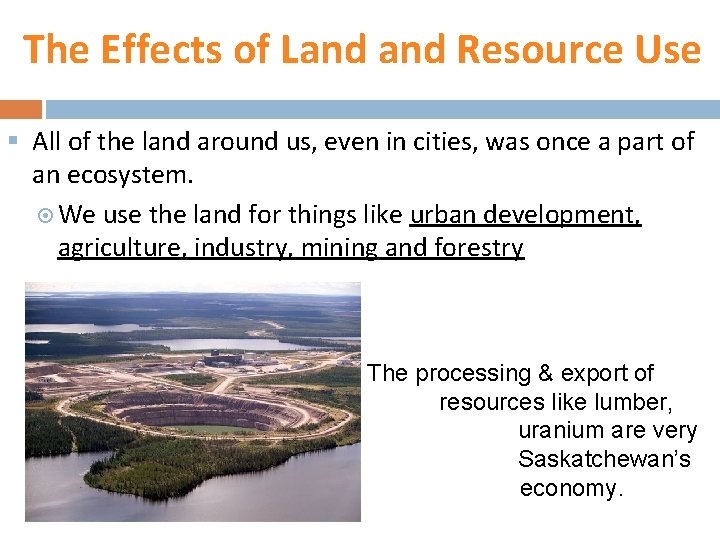 HUMAN IMPACT ON ECOSYSTEMS What is Ecosystem Sustainability