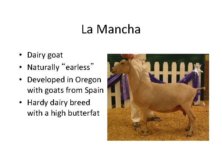 Goat Breeds Animal Science Sheep and Goat Terms