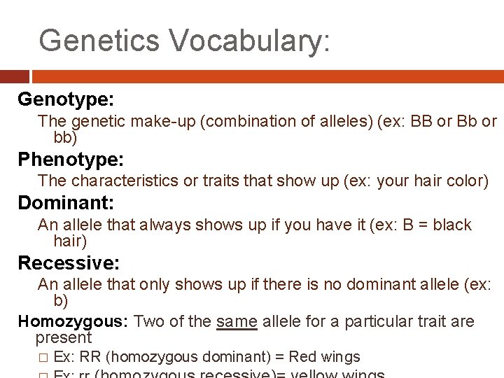 Genetics Vocabulary Gene A section of DNA that