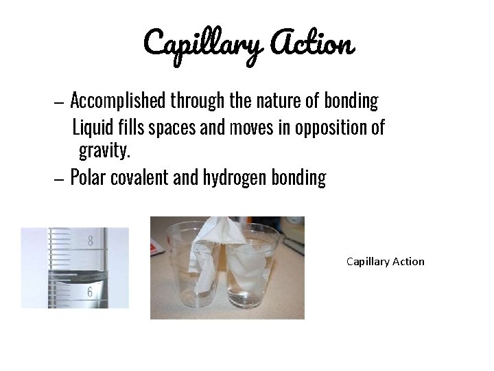Properties of Water Packet 1 1 Biochemistry Water