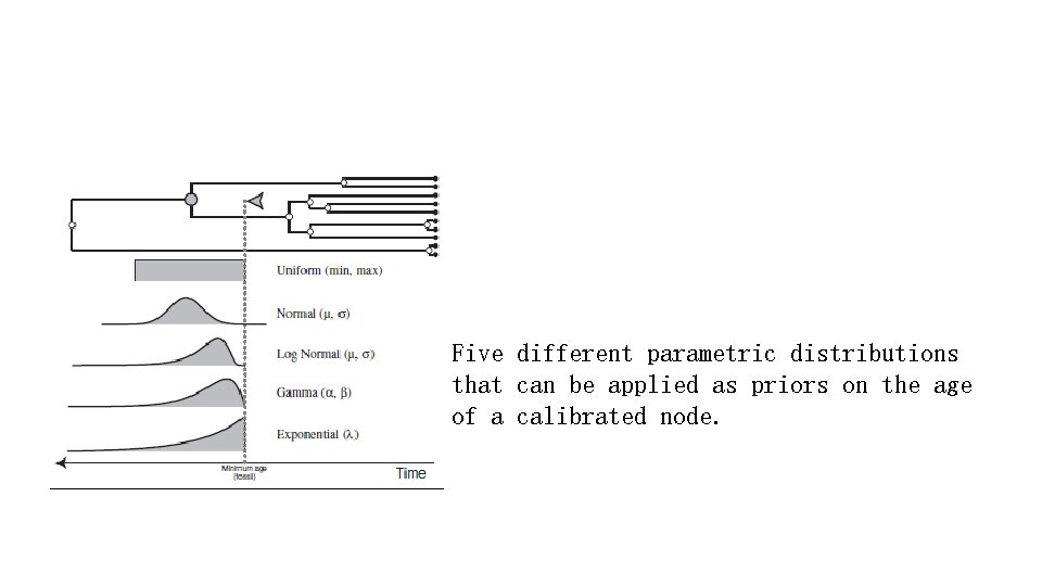 the goal of Bayesian divergence time estimation Markov