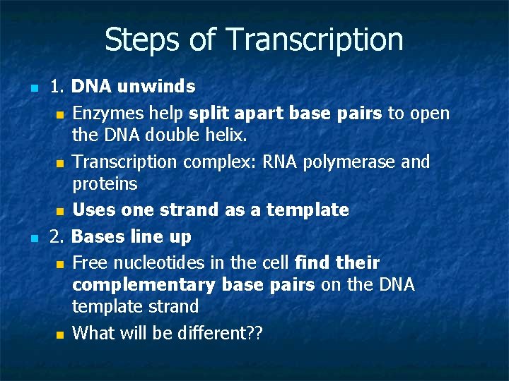Protein Synthesis Transcription Objectives What is the Central