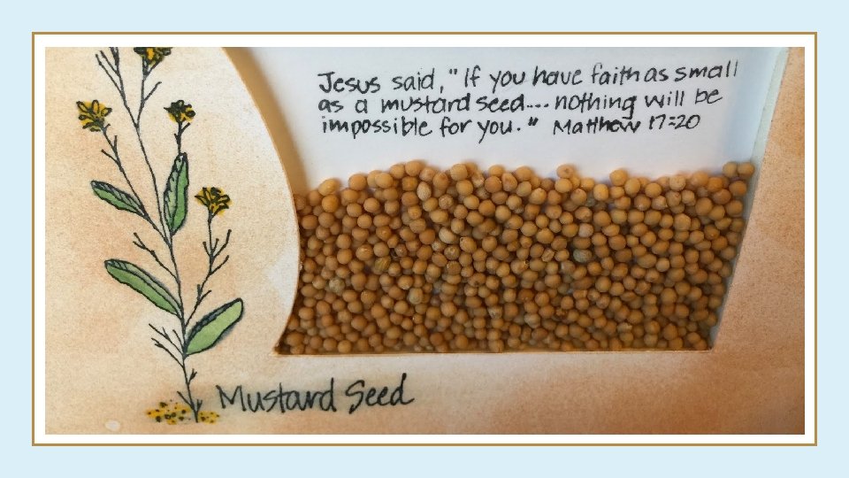 Kids Prophecy Corner The Parable of the Mustard