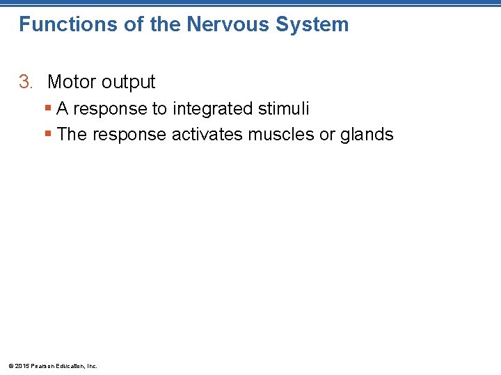 Chapter 7 The Nervous System Lecture Presentation by