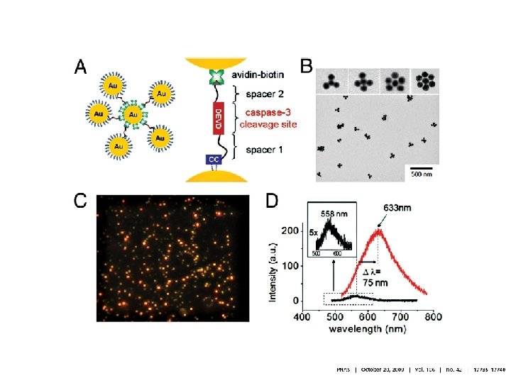 Electromagnetic multipolar resonance of nanoworld Nonlinear Optics ...