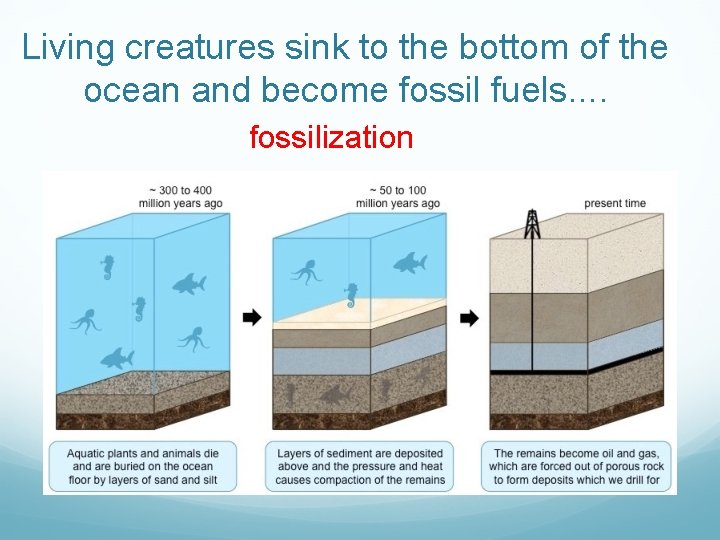 THE CARBON CYCLE BASICS K Doran 12302016 The