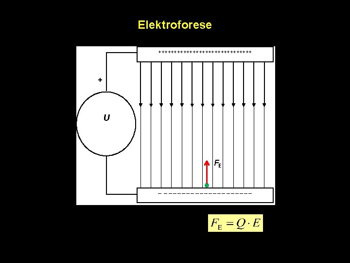 1 Elektroforese we beginnen vreemd genoeg met een