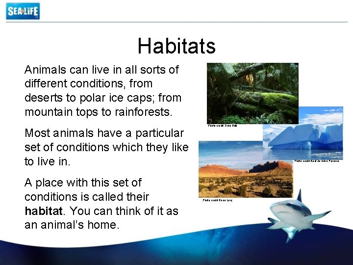SESE Living Things Adaptation Habitats Animals can live