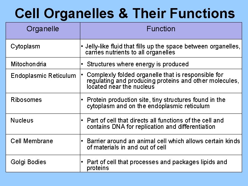 The Basic Building Blockof Living Organisms Cell Type