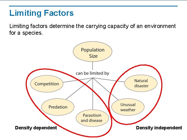 Limits to Growth Learning Objectives Identify factors that