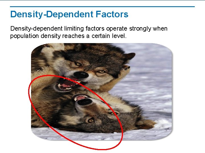 Limits to Growth Learning Objectives Identify factors that
