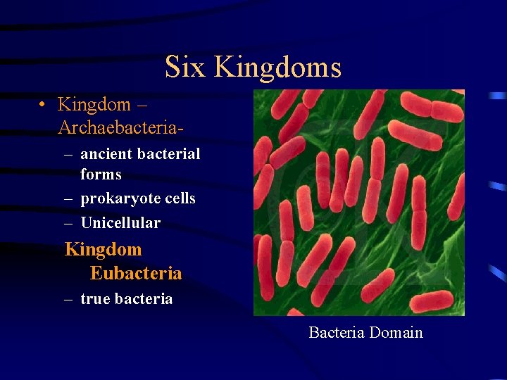 Chapter 14 Classification Biology Program Hamilton High School