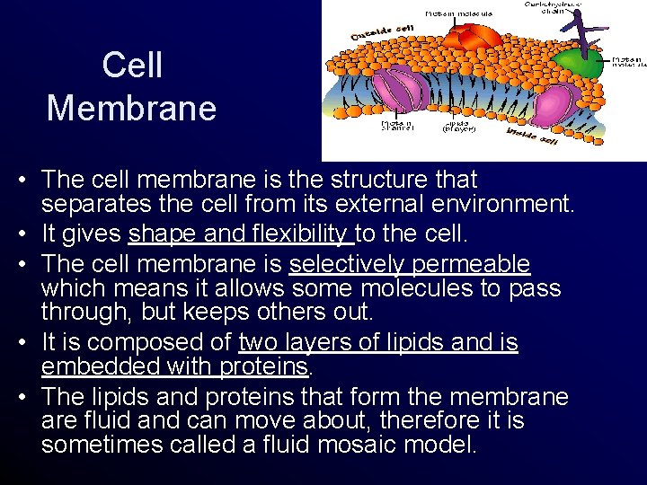 Structure and Function of the Cell Biology Chapter