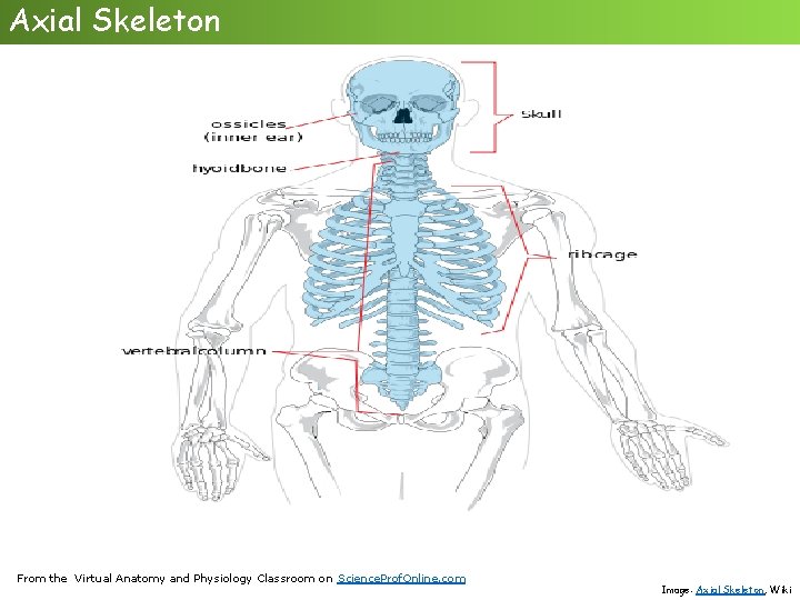 About Science Prof Online Power Point Resources Science