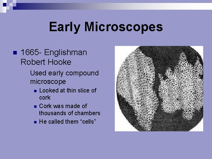 Cells Early Microscopes n 1665 Englishman Robert Hooke