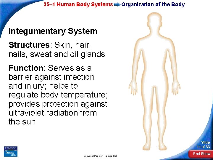 Biology Slide 1 of 33 Copyright Pearson Prentice