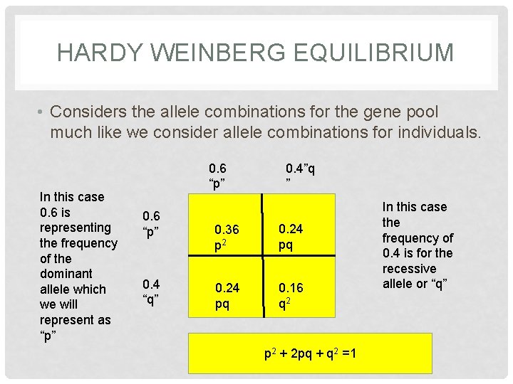 A HARDY WEINBERG PROBLEMS CALCULATING NEW ALLELIC FREQUENCIES