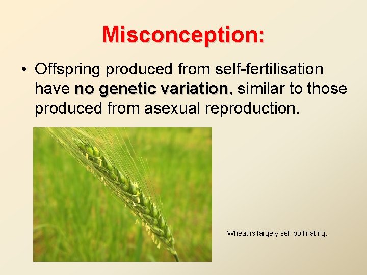 Common misconceptions in Biology Reproduction and development Misconception