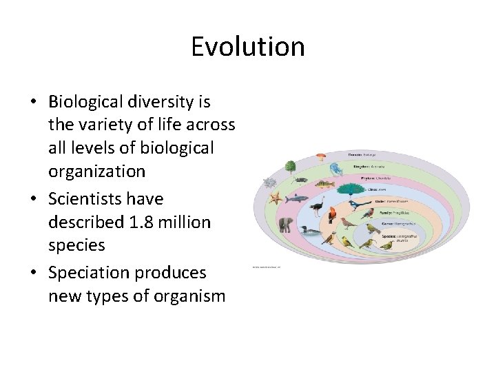 Chapter 3 Evolution Biodiversity and Population Ecology Evolution