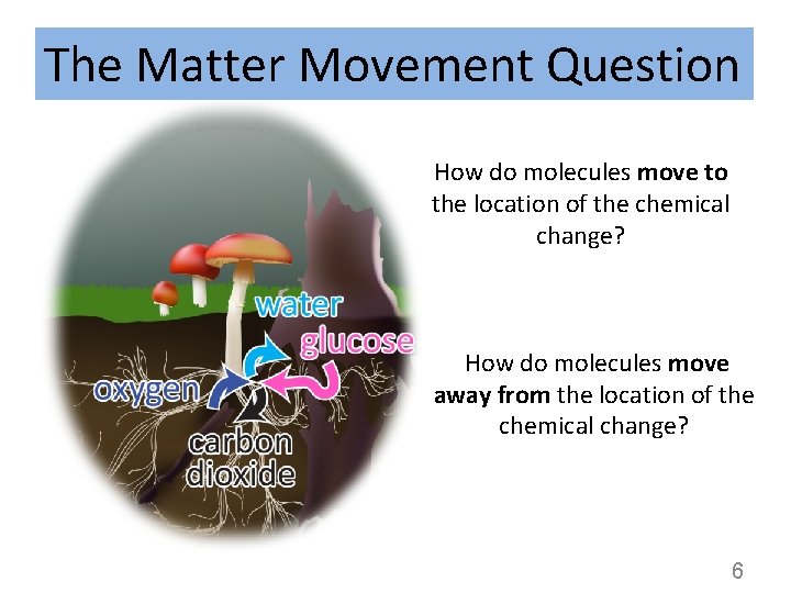 Carbon Transformations in Matter and Energy Environmental Literacy