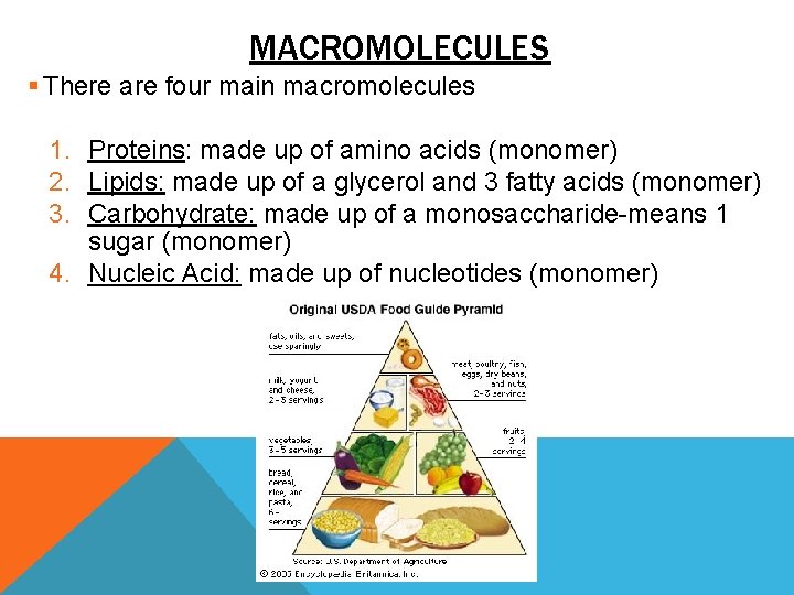 UNIT BIOCHEMISTRY WHAT ARE THE STRUCTURES AND FUNCTIONS