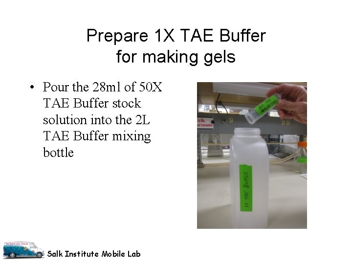 Gel Electrophoresis Teacher Instructions Bio Rad Set Up