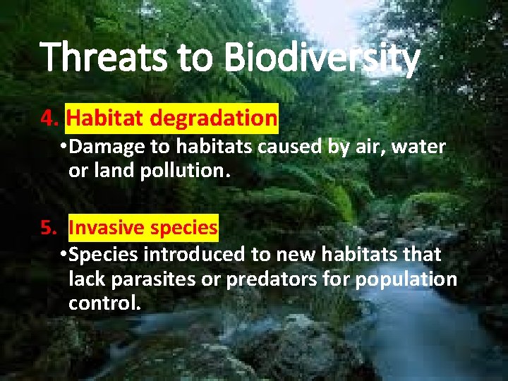 Spring 2017 Biodiversity Biodiversity The total of all