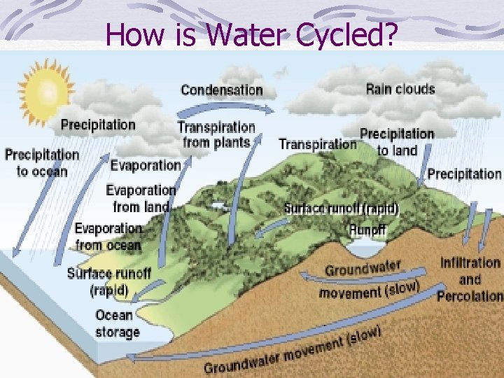 The Hydrosphere Cycle and Water Budget 2 5