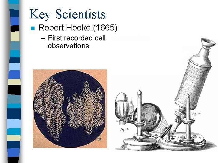 Cell Theory and Bonding Review Cell Theory n