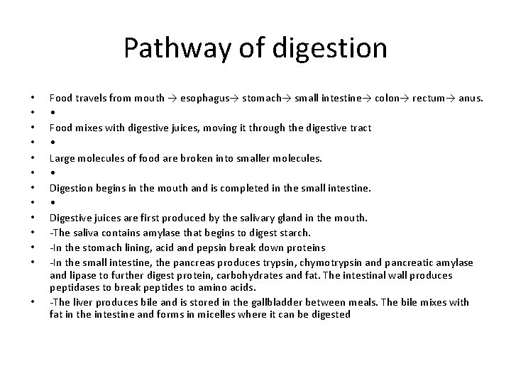 Digestive system project By Shakir West Main components