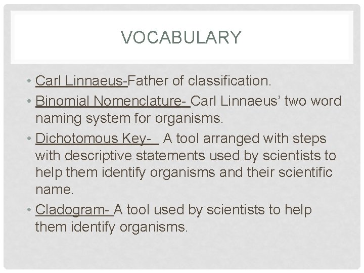 CLASSIFYING LIFE CHAPTER 1 SECTION 4 BELLRINGER If