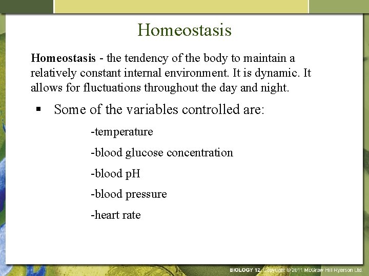 8 1 Human Body Systems and Homeostasis Organization