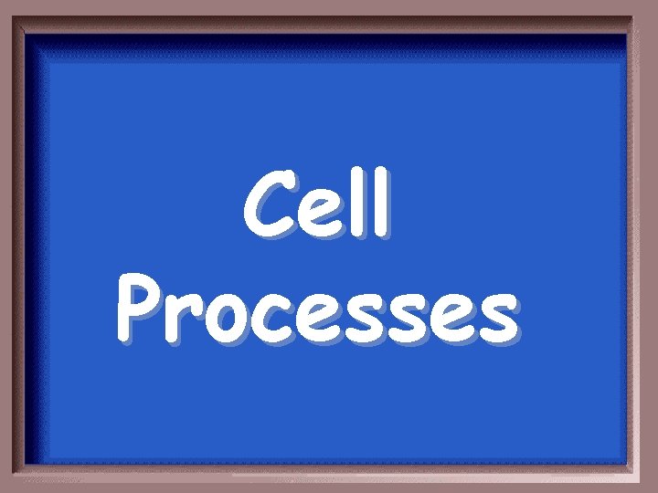 Types of Cells Cell Processes The Microscope Vocabulary