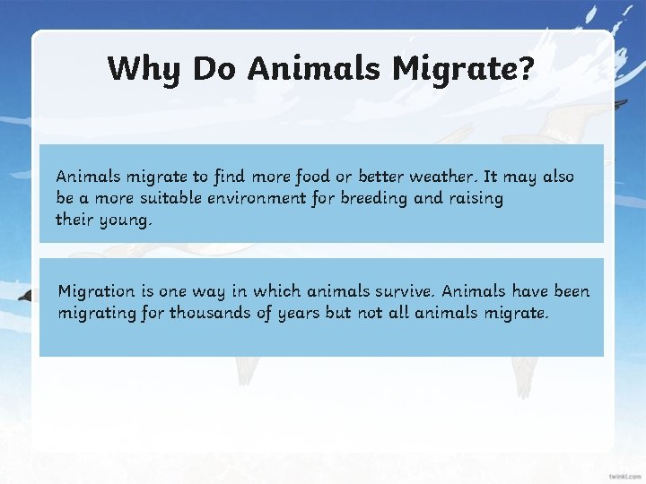 What Is Migration Many mammals birds fish insects