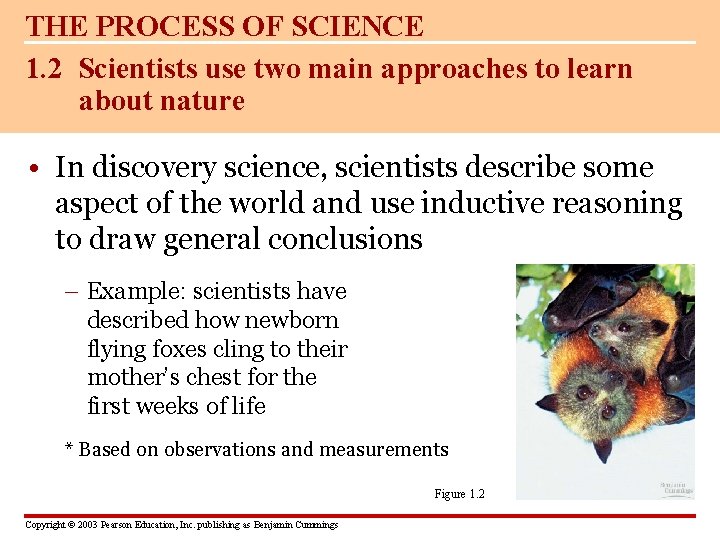 BIOLOGY CONCEPTS CONNECTIONS Fourth Edition Neil A Campbell