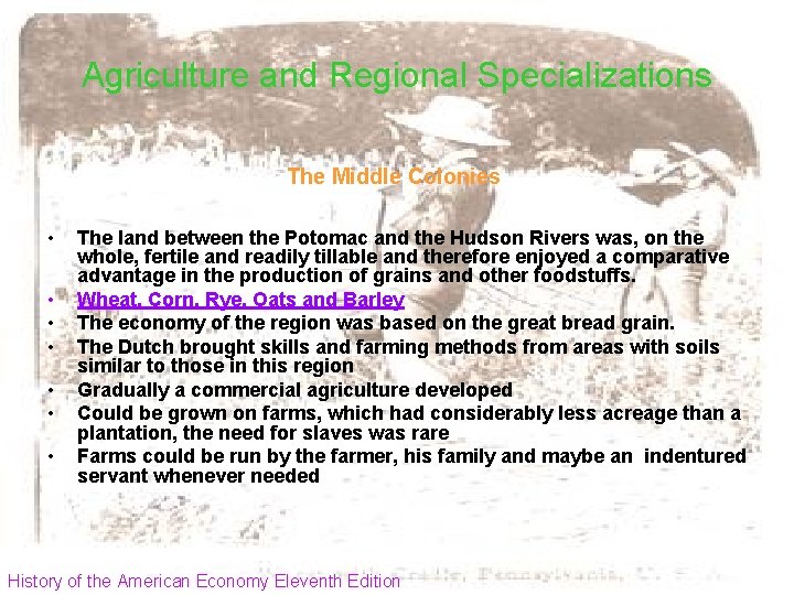 Chapter 3 Colonial Economic Activities By Kristen N