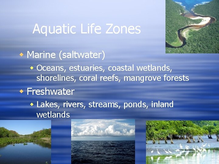 Aquatic Biodiversity Ch 6 Part 1 In general