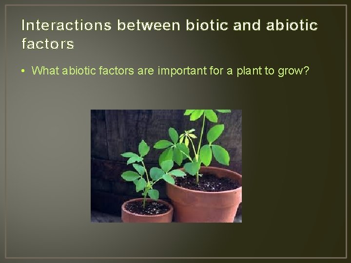 Ecology Interactions between biotic and abiotic factors Review