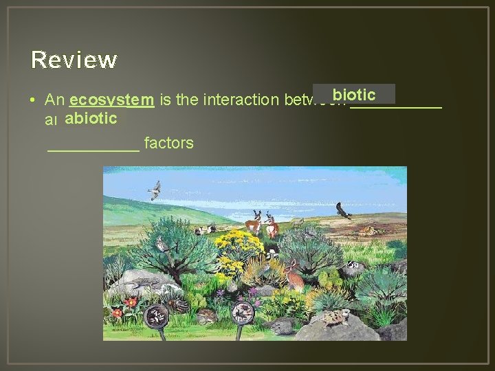 Ecology Interactions between biotic and abiotic factors Review