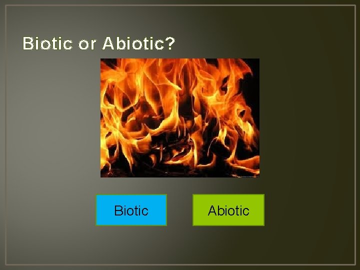 Ecology Interactions between biotic and abiotic factors Review